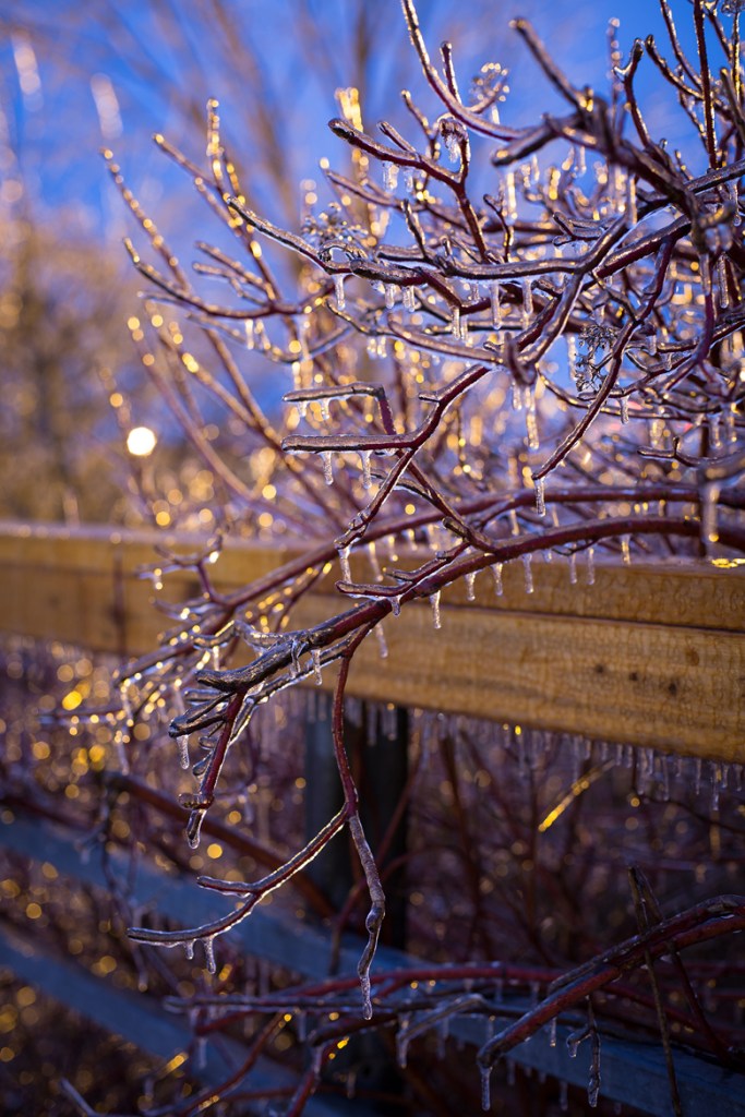 The Ice Storm Pt II – night shots | The Blue Brick | Inspired Yarns