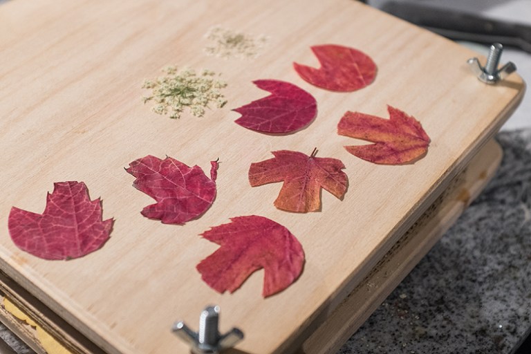 Resin Tree Ornament Tutorial – The Blue Brick