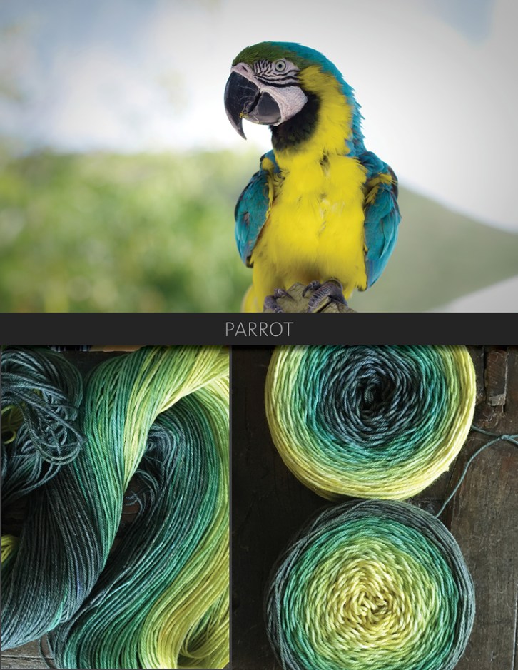 Parrot | The Blue Brick | Inspired Yarns